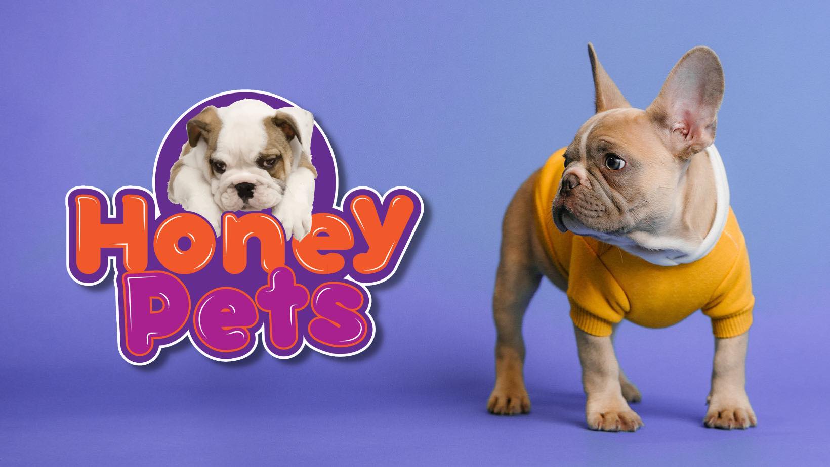 My Honey Pets Mobile In Store Pet Grooming Groomer Supplies my-honey-pets-mobile-in-store-pet-grooming-groomer-supplies